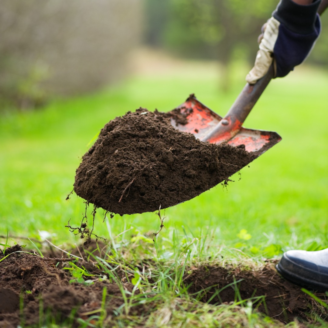 A Beginner's Guide To Pond Management - AQUA DOC®